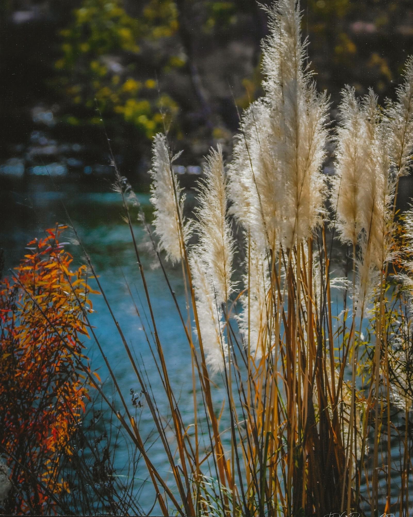 27th Annual Amateur Photo Contest – Mission Trails Regional Park