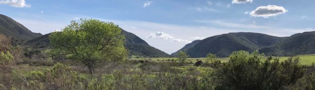 View-of-MTRP-Grasslands – Mission Trails Regional Park