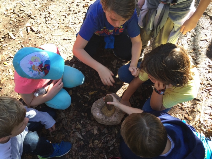 Mission Trails Regional Park Ranger-Led Field Trips – Mission Trails ...